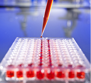 Assay Parameters Evaluated During Bioanalytical Method Development