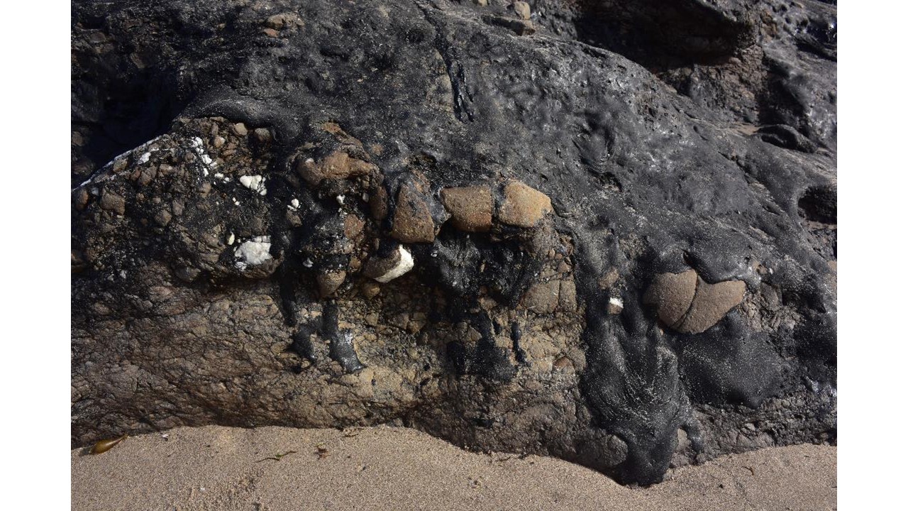 Wandering Environmentalist: Tar "Pits"