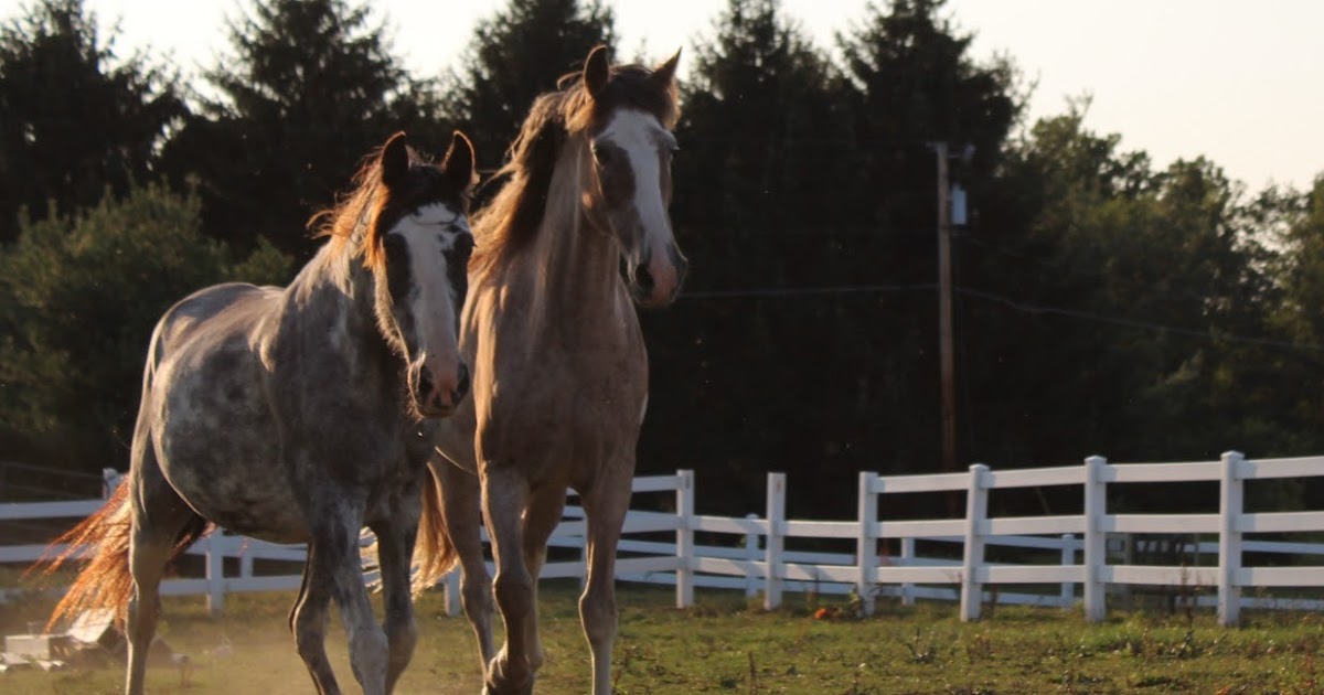 A Multi-Colored Life