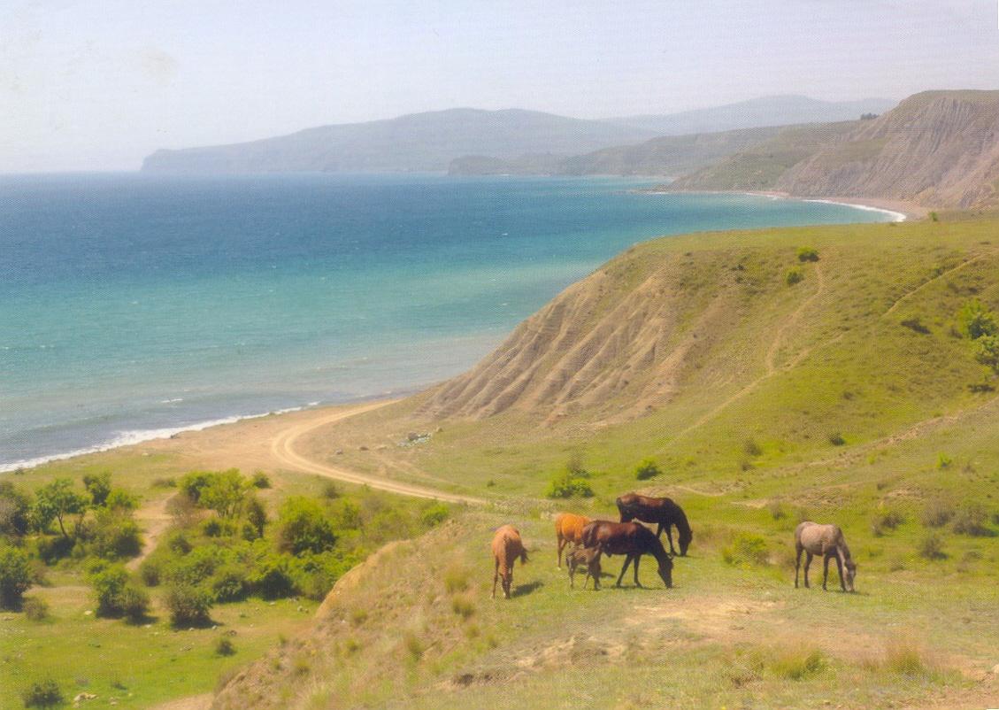 My Picture Postcards: Fox Bay - Bay of the Black Sea