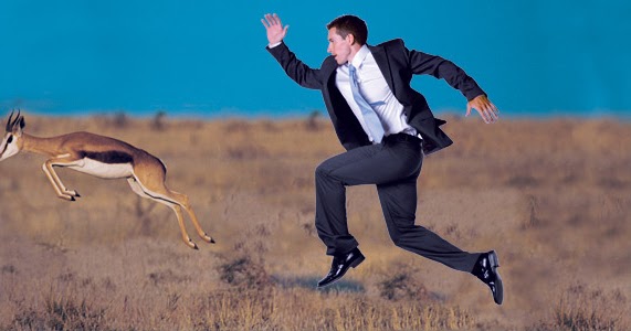 A Life Between Runs: Someday, I'll persistence-hunt a deer