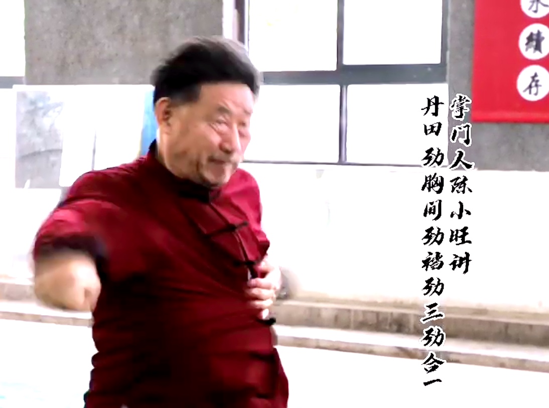 Talking Chen Taijiquan with David Gaffney: Uniting Taijiquan's Three ...