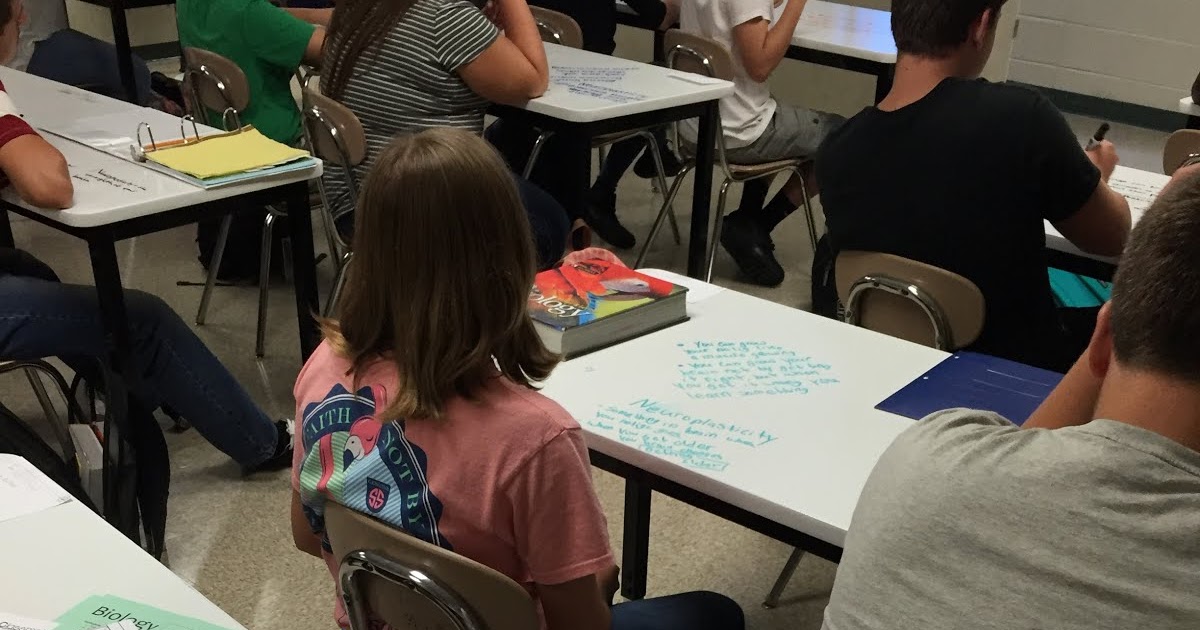 Sunshine State Science: $10 Dry Erase Tables