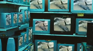 Storefront Television Display - TV Tropes