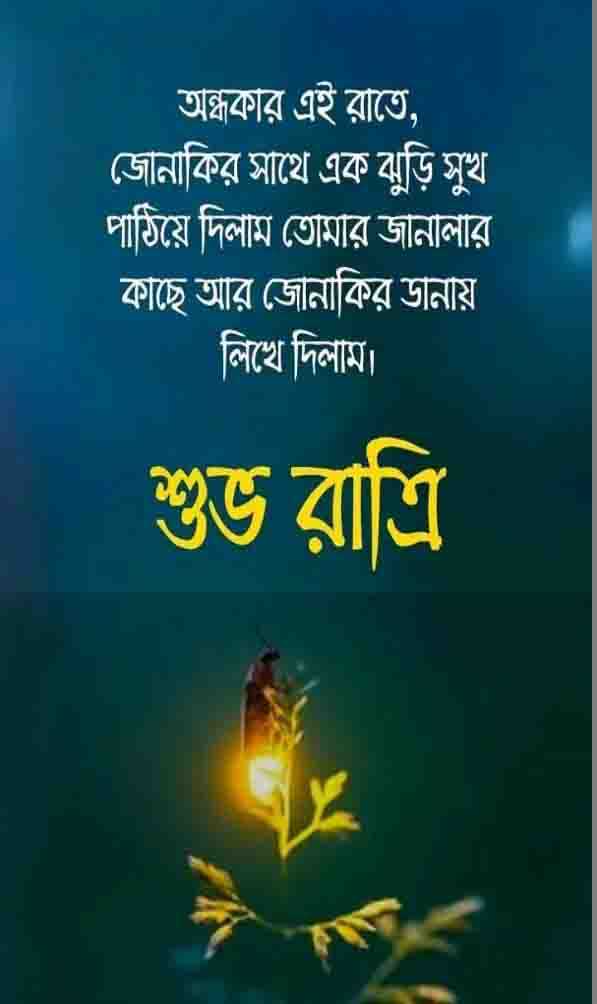 Bangla Good Night SMS – Shuvo Ratri SMS