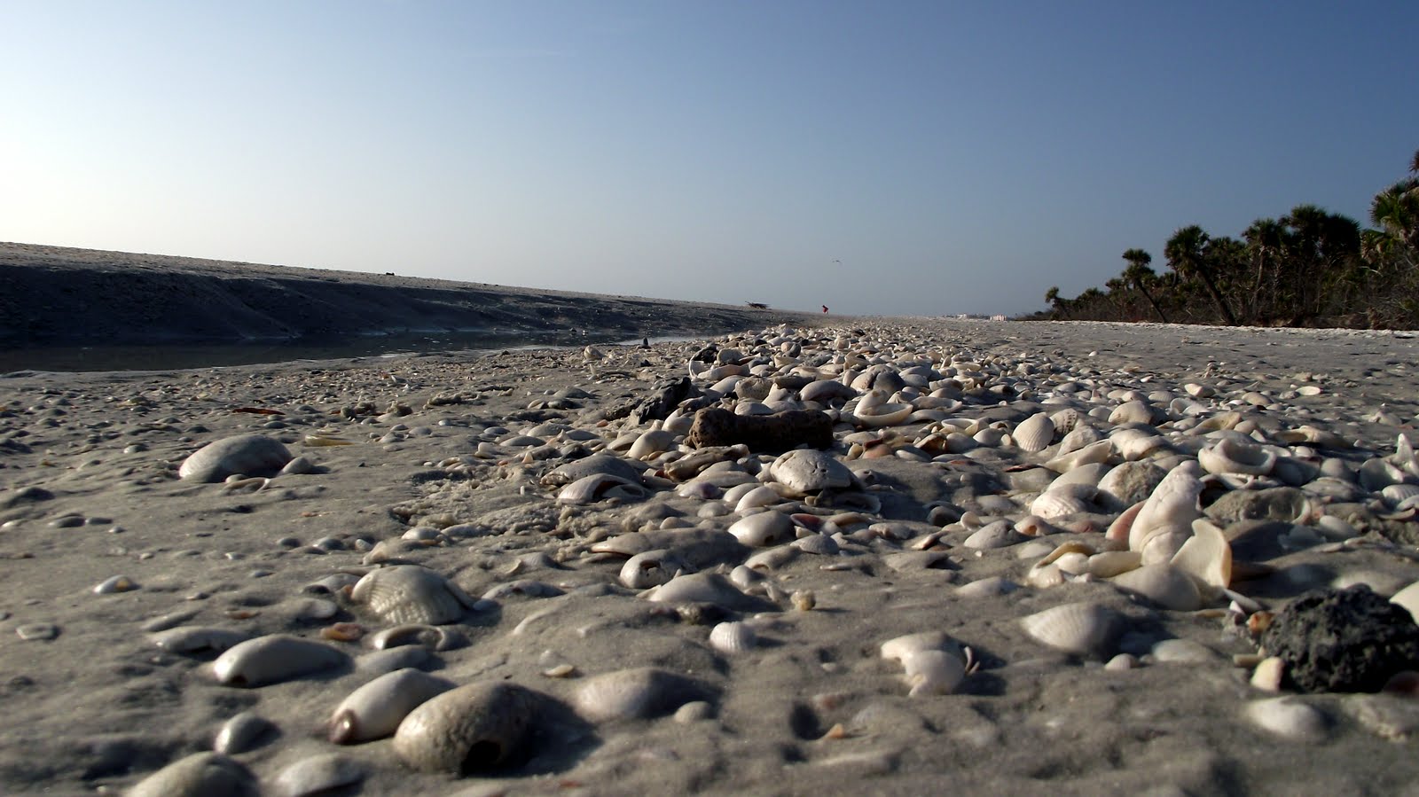 May you always have a seashell in your pocket & sand between your toes
