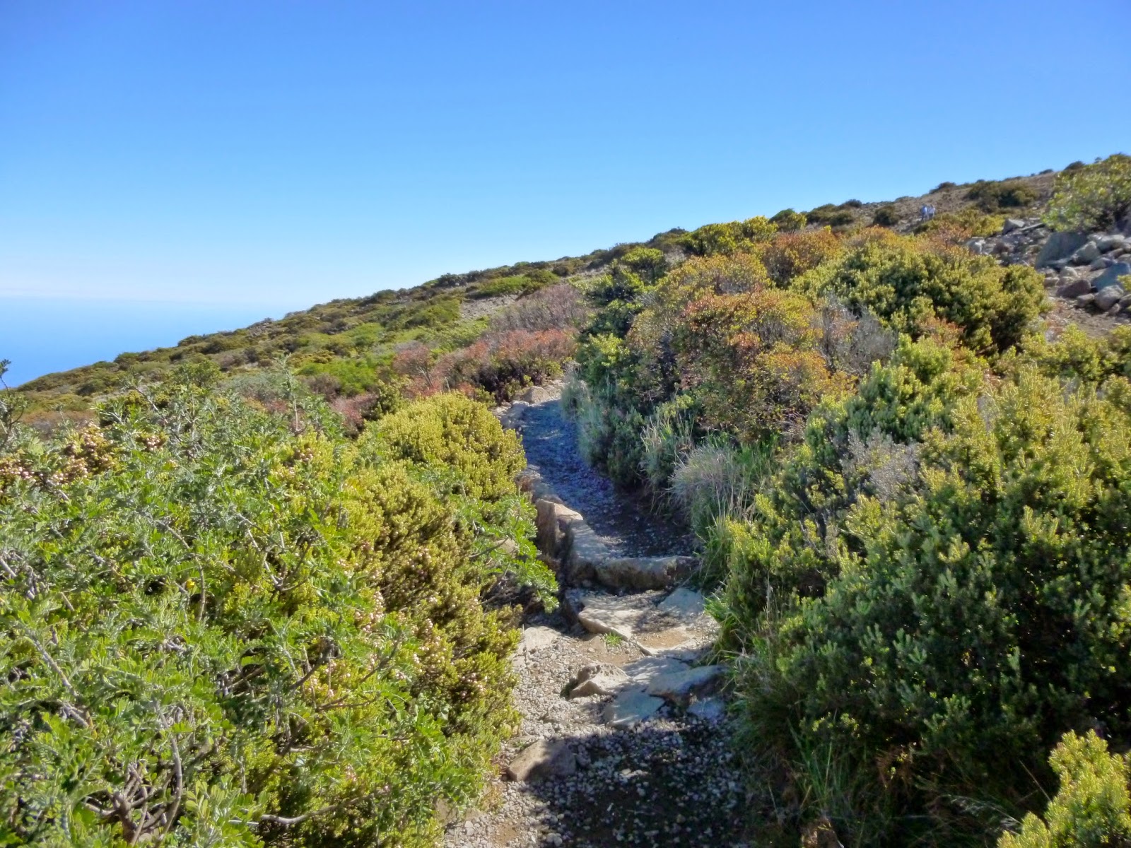 American Travel Journal: Leleiwi Overlook Trail - Haleakalā National Park
