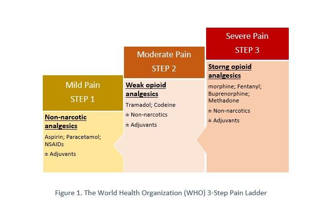 Analgesics | What Are Analgesics and How They Are Classified?