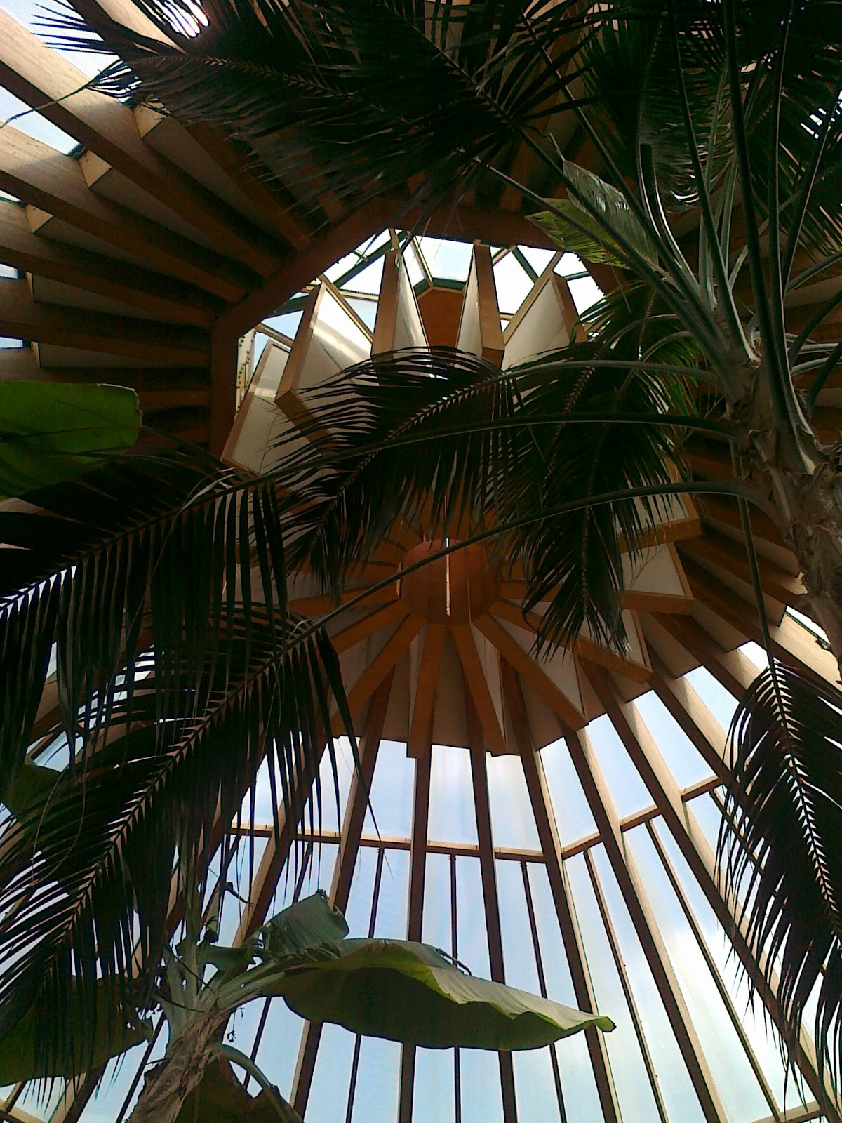 Pat Papertown 2: Warsaw Zoo: Elephant House Ceiling