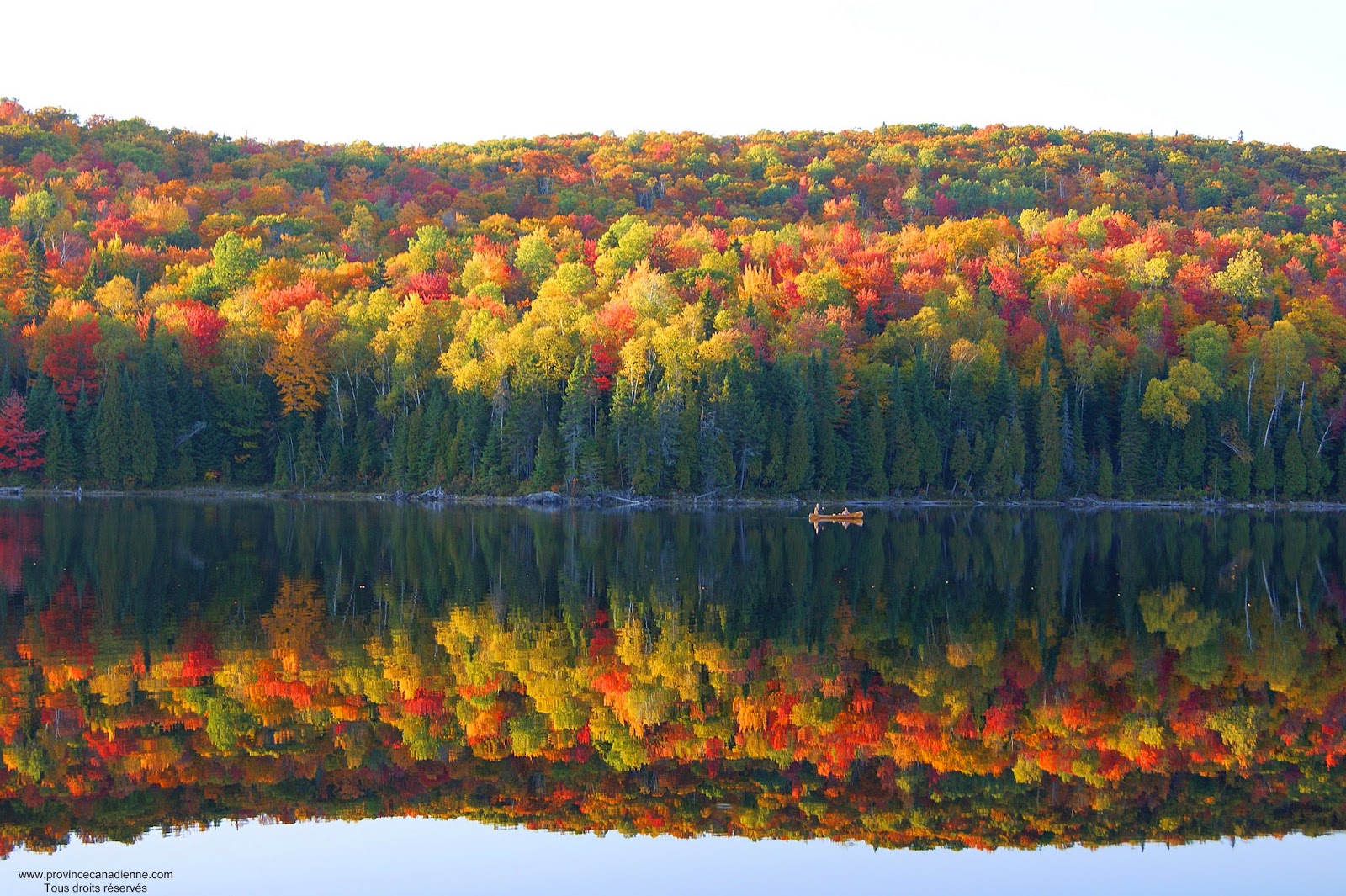 Province canadienne: Jours d'Automne, au parc de la Mauricie