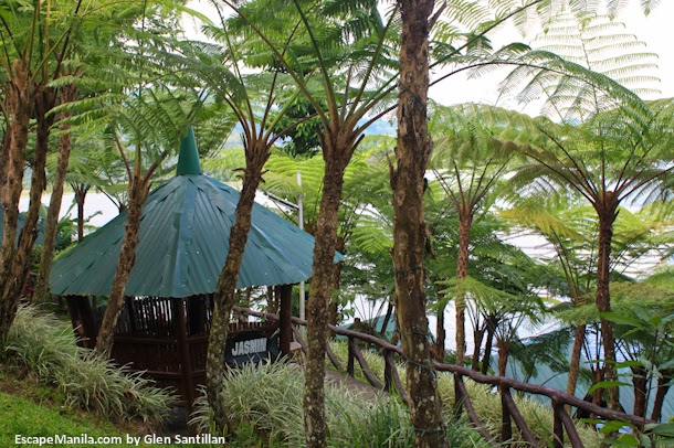 Where to Stay in Lake Sebu : Punta Isla Lake Resort - Escape Manila