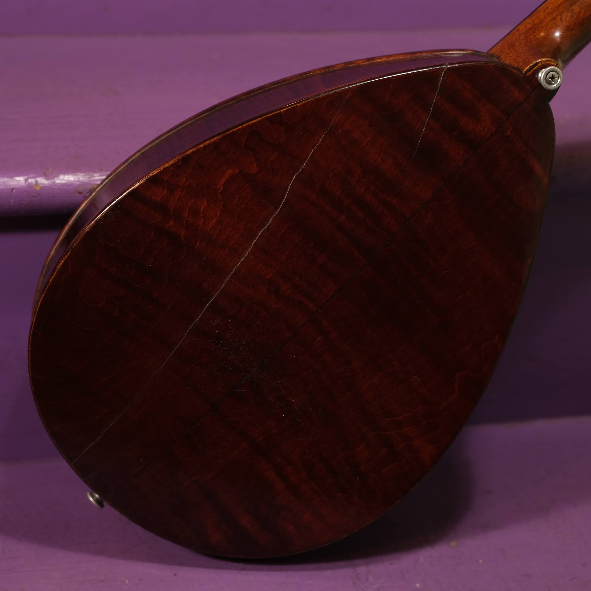 1916 Weymann Style 20 Mandolute Mandolin