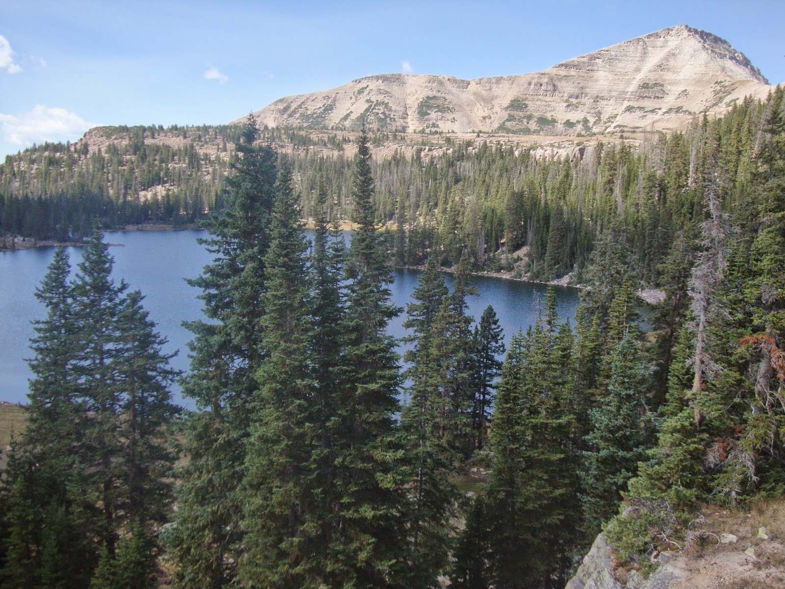 NORTHERN UTAH: NATURALIST BASIN