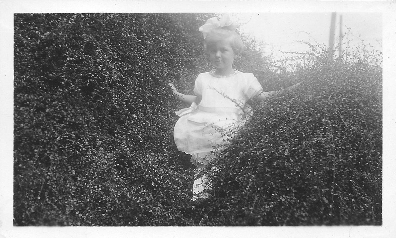 Genea-Musings: Betty in the Berry Bush -- Post 568 of (Not So) Wordless ...