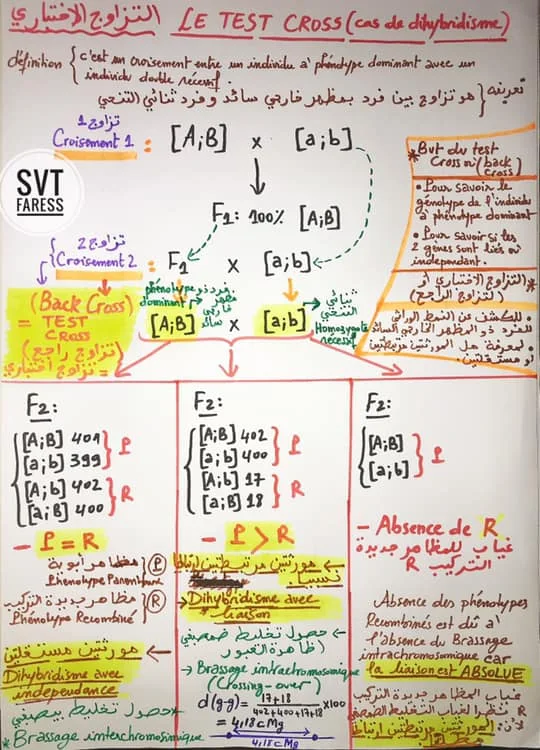 cours svt 2 bac international Biof pdf