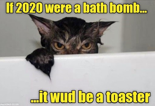 True Book Addict...Books, Cats, and More: #CatThursday - Hello November ...