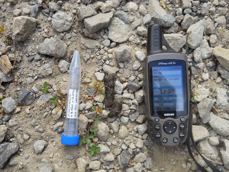 Cascades Carnivore Project: 2014