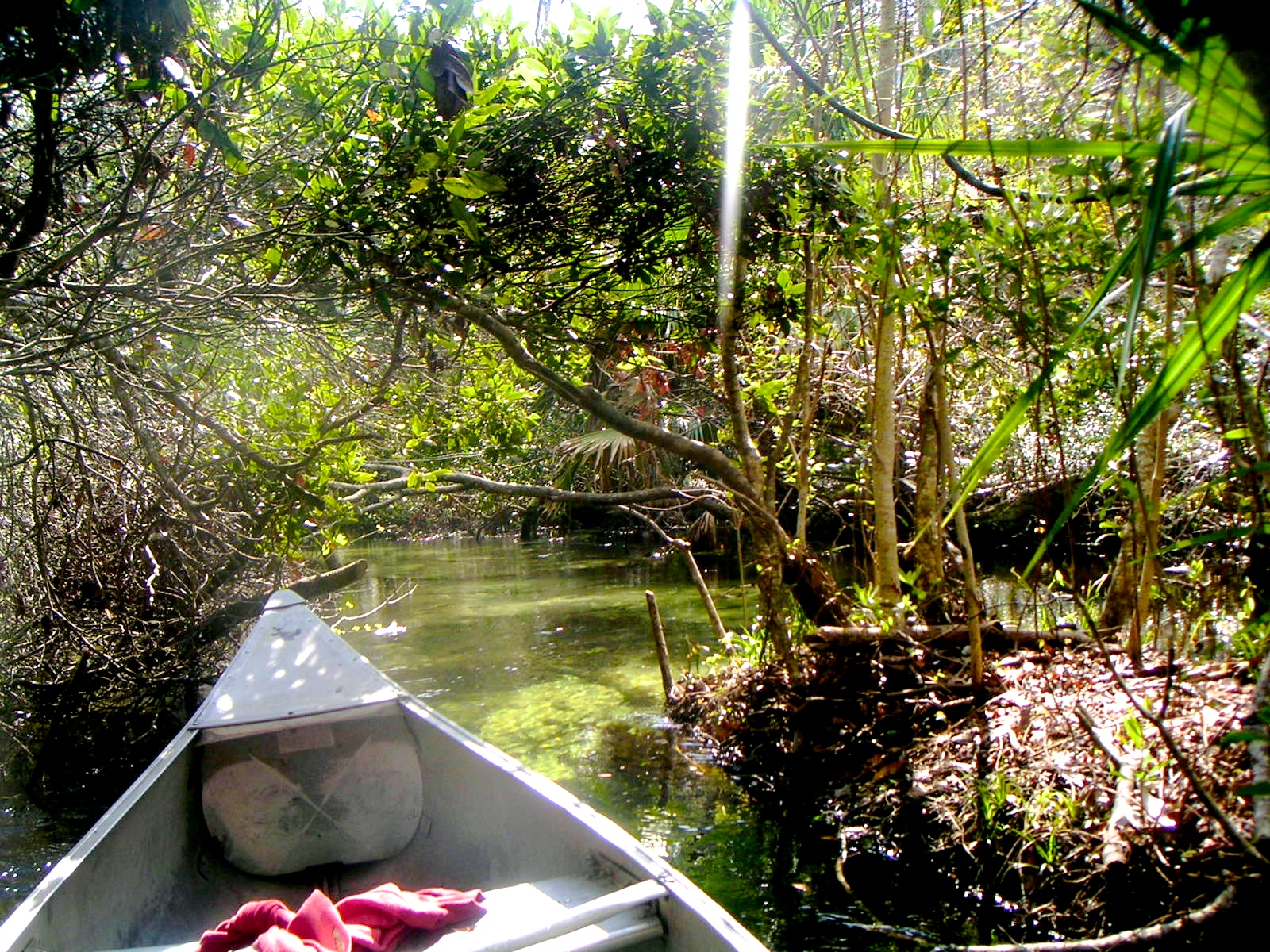 Chuck's Adventures: Canoeing Florida's Juniper Run