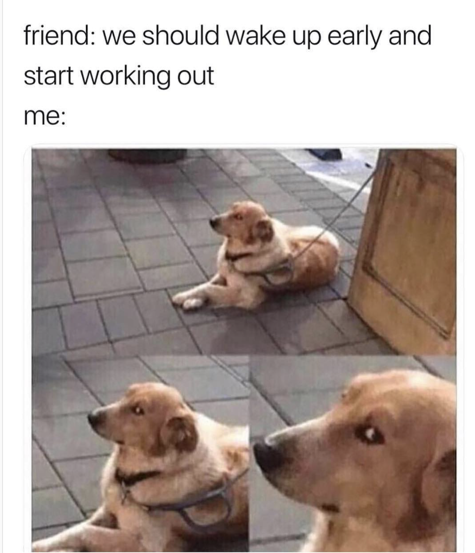 54 Random Memes Photos That Make You So Hilarious | 9GIG