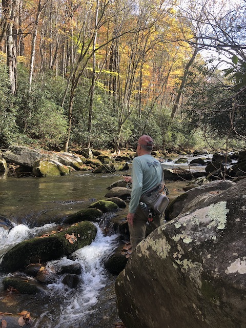 The Trout Zone: Stealth Mode: Light and Shadows