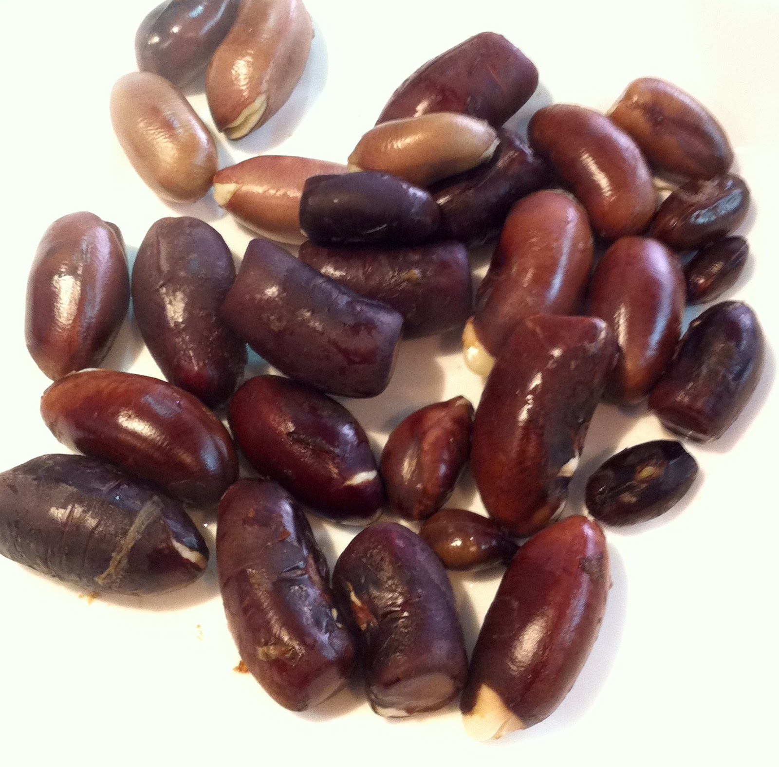 Gastromimix: Baluy, chachafruto o fríjol de árbol