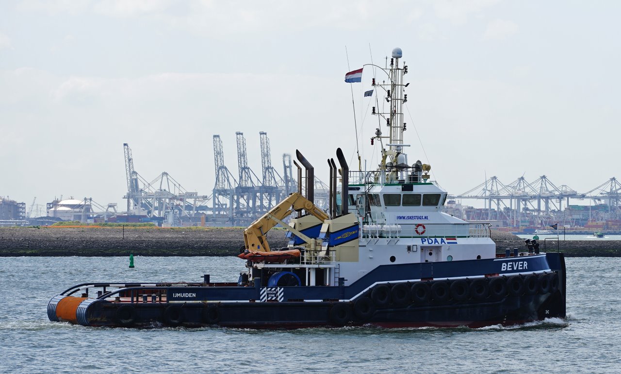 Scheepvaarthoek: Bever