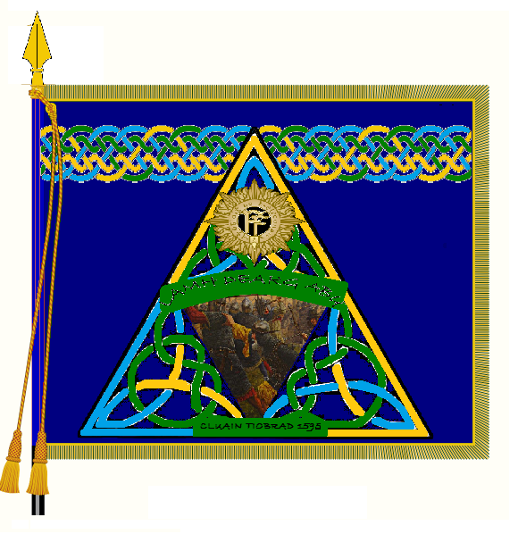 Sam's Ramblings : Development & History of Irish Flags Pt16: Military ...