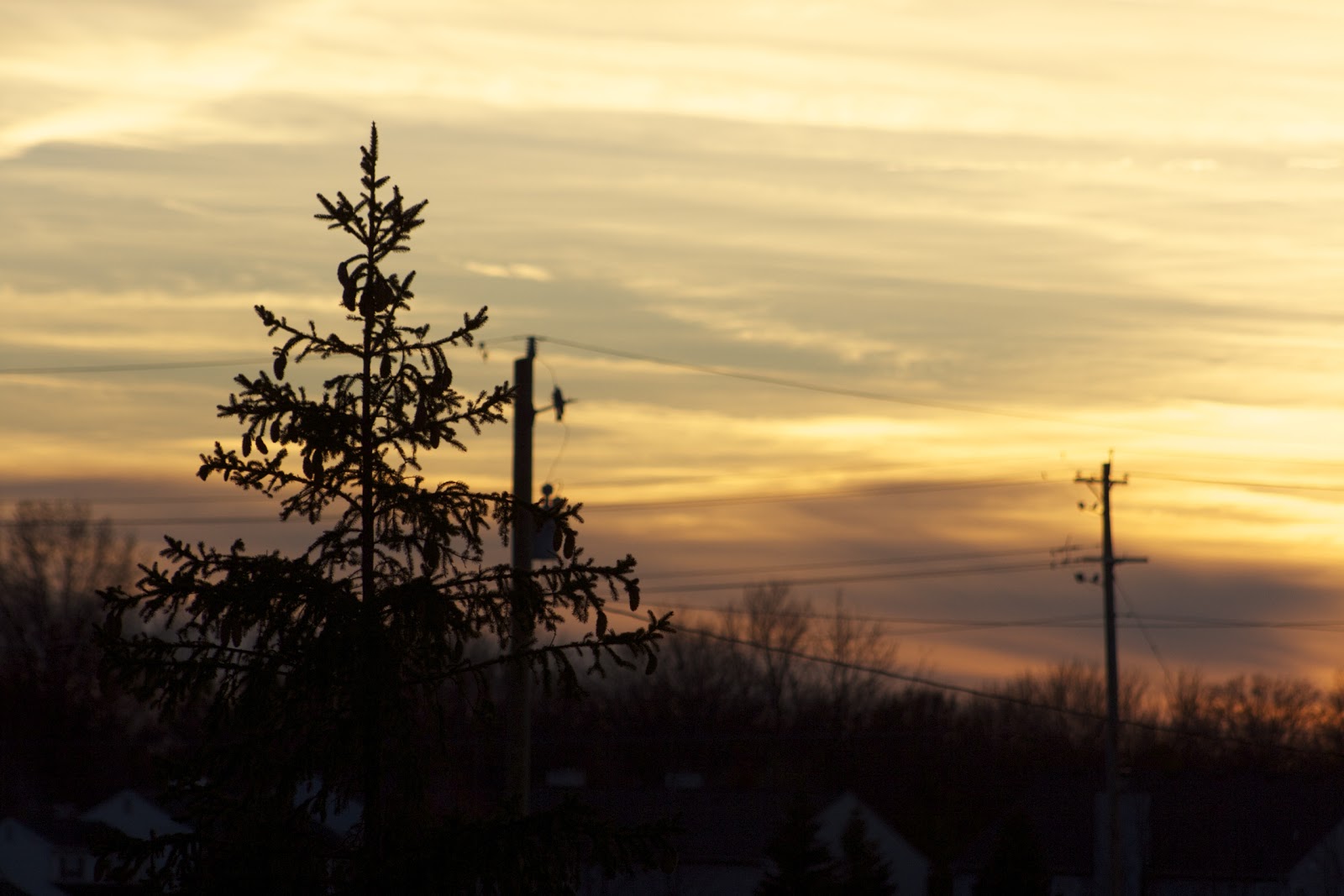 Sunset Photos Experimenting with Depth of Field [Stellar Neophyte ...