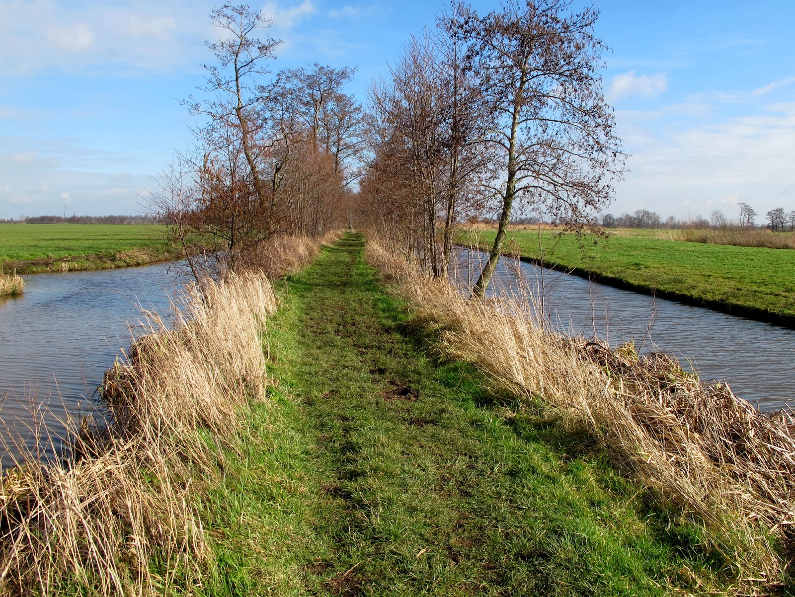 pien's fotoblog: Montfoort, natuurgebied Willeskop
