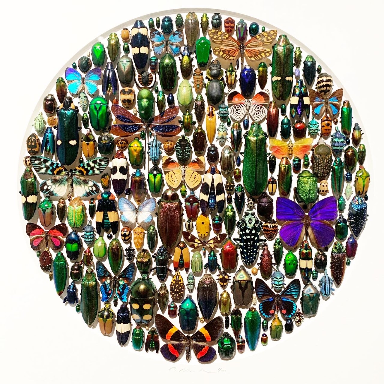 Daily Bread: Exquisite Creatures