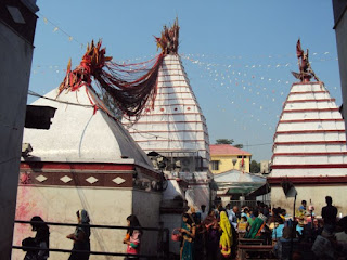Hindu Temples of India: Basukinath Temple, Basukinath