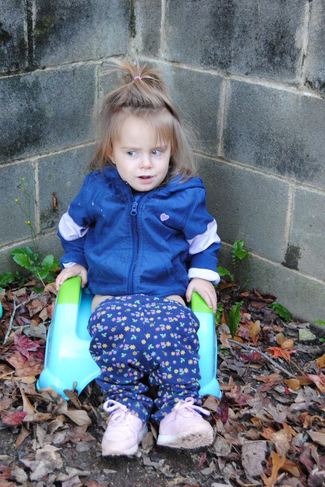 Ellis Family Blog: Camping with Toddlers - Part 2