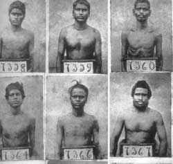 The Subry Govender Column: INDIAN INDENTURED LABOURERS WHO SLAVED ON ...