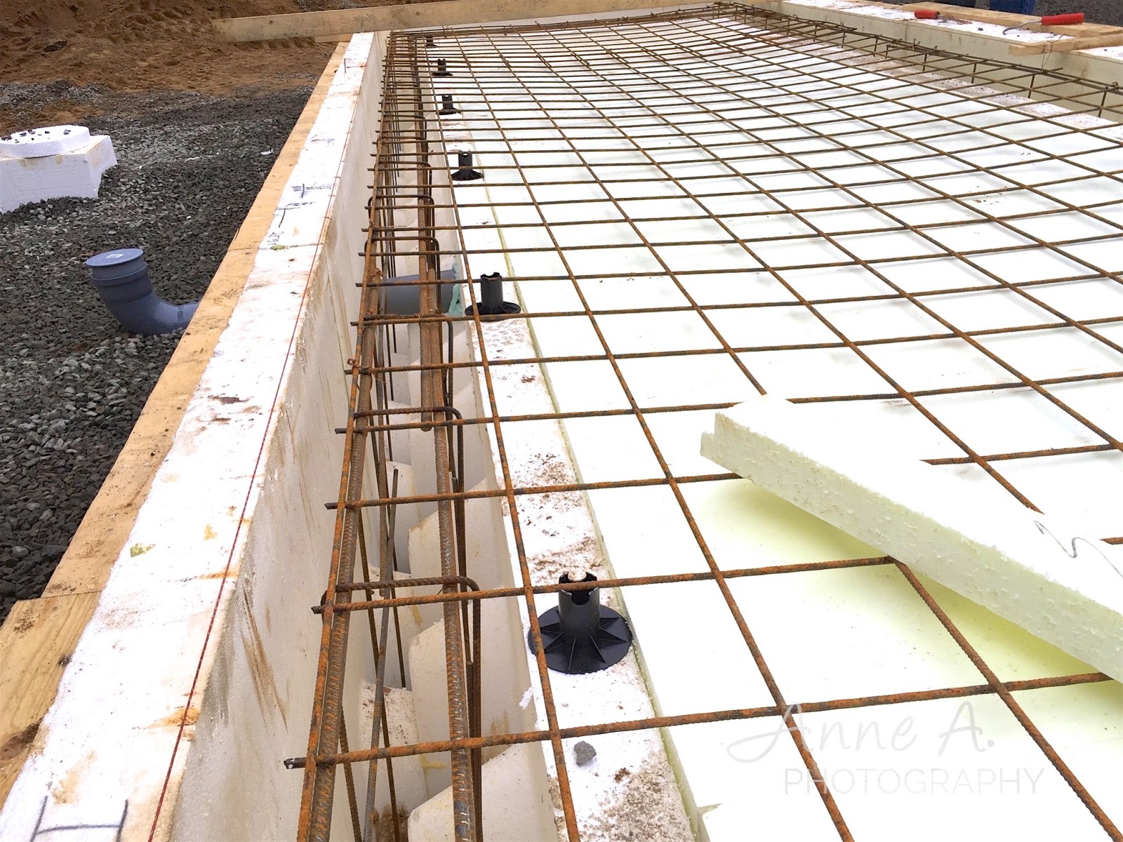 Hirsiä Aurinkokalliolla: Reunan anatomia