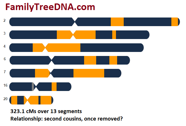 Family History Research by Jody Lutter: More DNA from Dunn and Dunlop ...