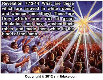 Among the great multitude {Revelation 7} - Women in the Word