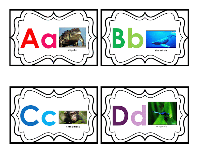 The Go To Teacher: Nonfiction ABC Cards