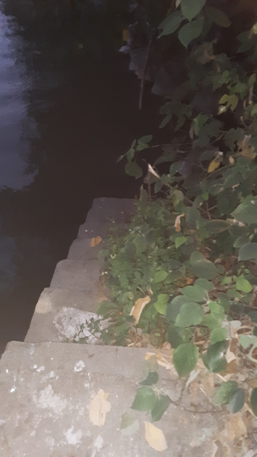 Azriel Johnson, Official Author Blog