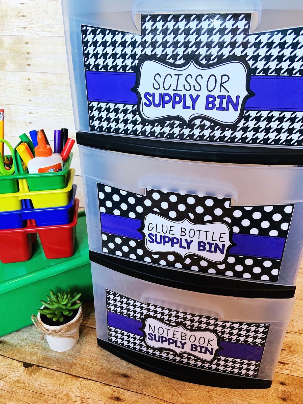 Teaching With Terhune: CLASSROOM ORGANIZATION IDEAS USING STERILITE 3 ...