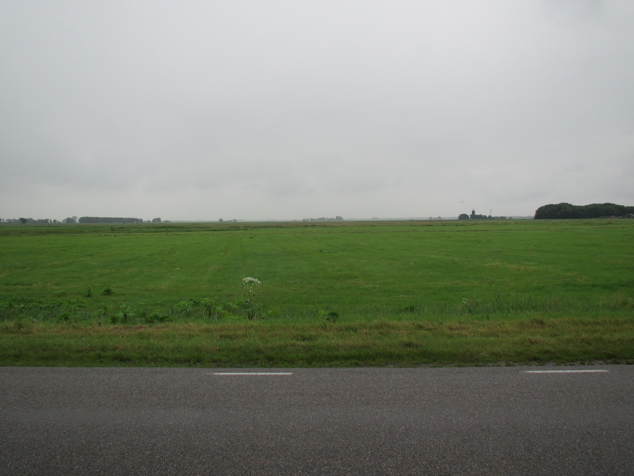 Sterrenkruid: Klaarkamp: een verdwenen klooster — Joke Visker