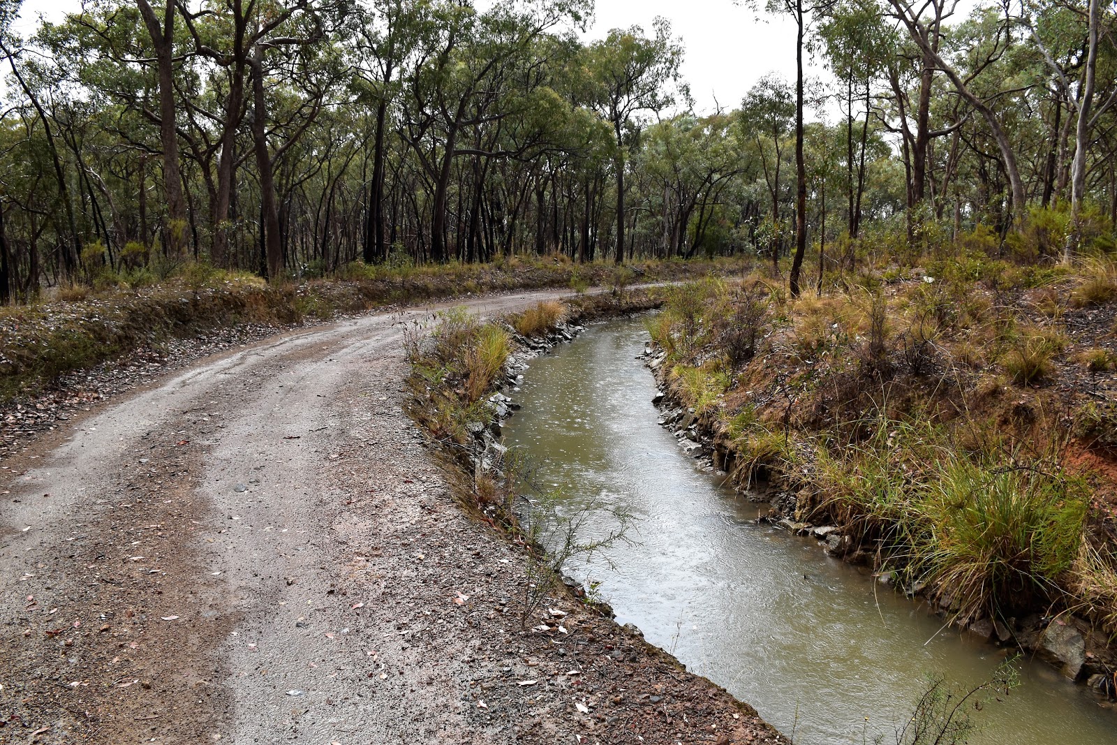 Goin' Feral One Day At A Time: Mandurang Walk, Greater Bendigo National ...