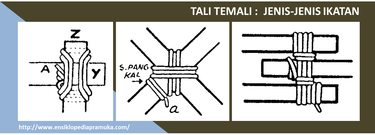 Sejarah Pramuka: Tali - temali : Jenis-jenis Ikatan