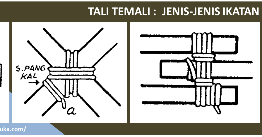 Tali - temali : Jenis-jenis Ikatan