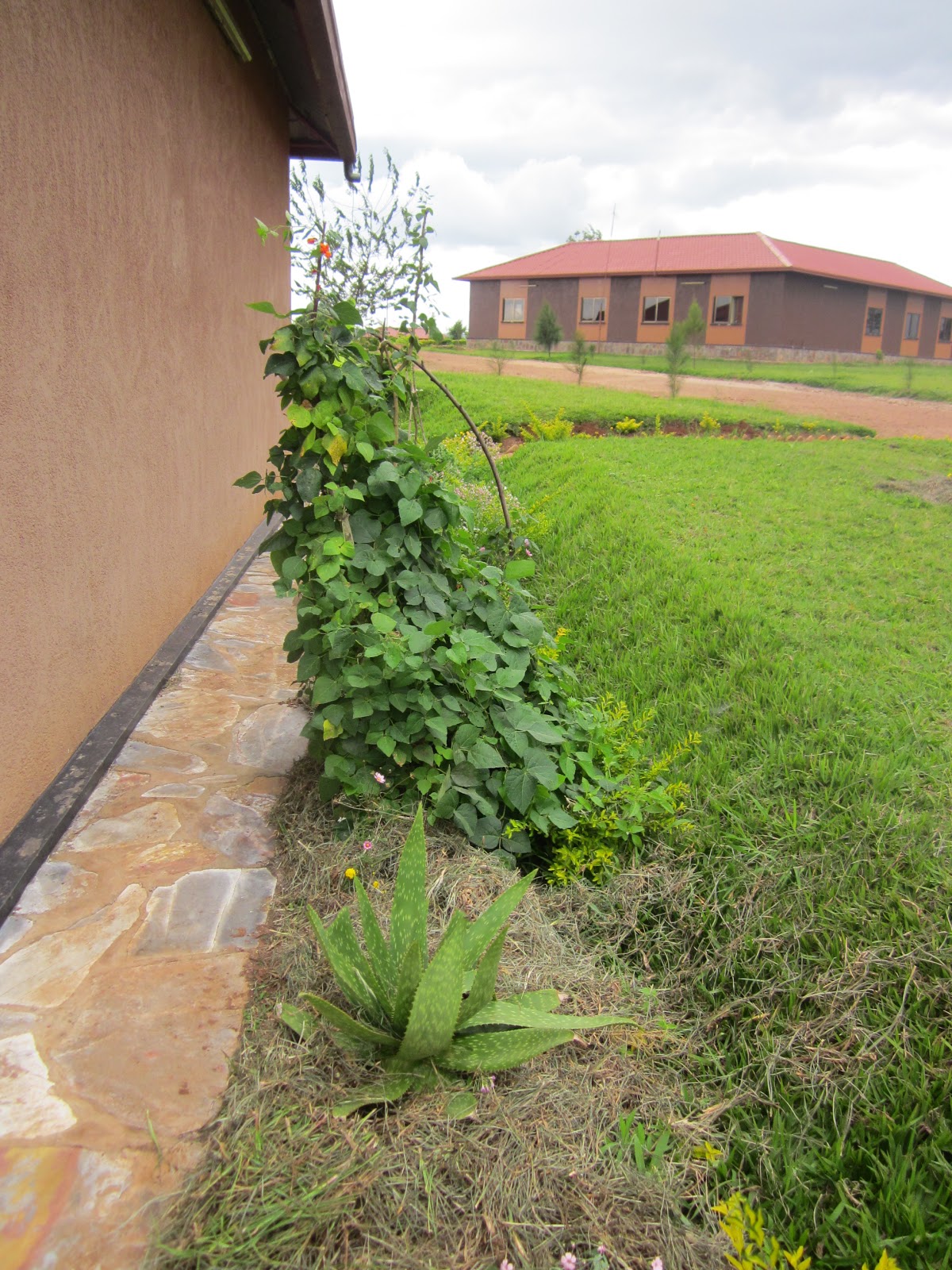 A Garden Love Affair in Rwanda: Gardens and what they say about you...
