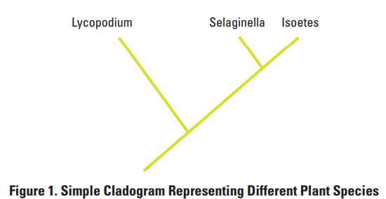 Mrs. Strong's AP Bio Lab Pages: BLAST Lab (AP Bio Lab #3)