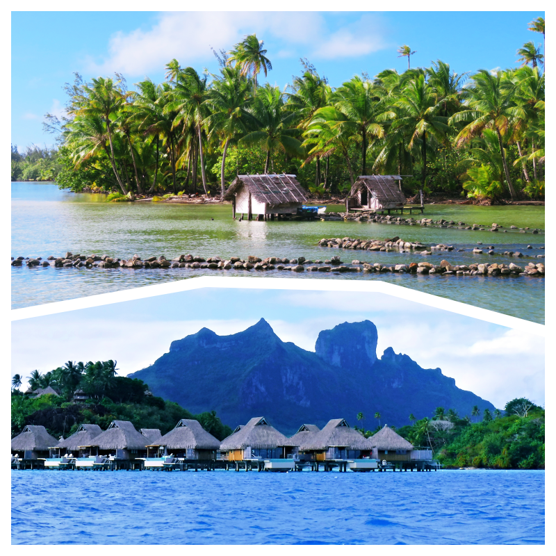 Bill's Excellent Adventures: French Polynesia
