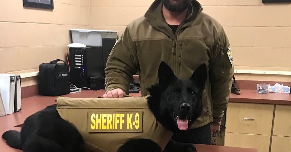 Inside Joplin Cherokee County Sheriffs Office K9 Bear Receives Body