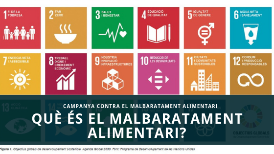 Què és el malbaratament alimentari? - CODEX Formació
