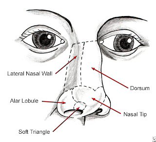 Nose Revision Surgery and Surgeons: October 2012