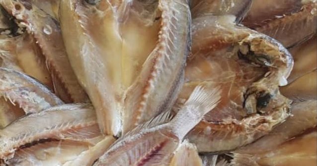 Fatimah: MENGAPA DINAMAKAN IKAN BEKOK